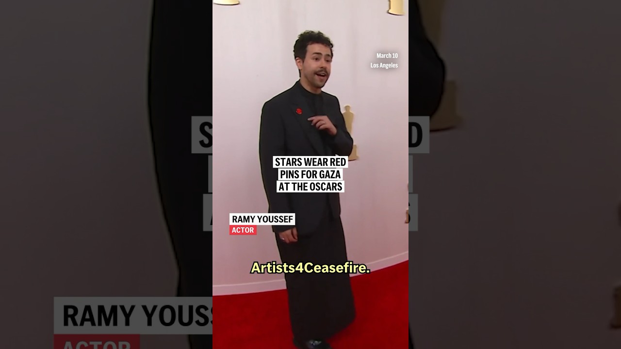 Stars wear red pins for Gaza at the Oscars