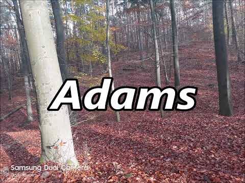 ADAMS as Family Name Meaning and Origin
