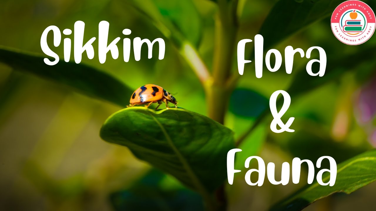 Flora and Fauna of Sikkim