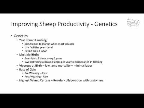Mamre Intensive Sheep farming: Intensive Sheep farming in Canada ...