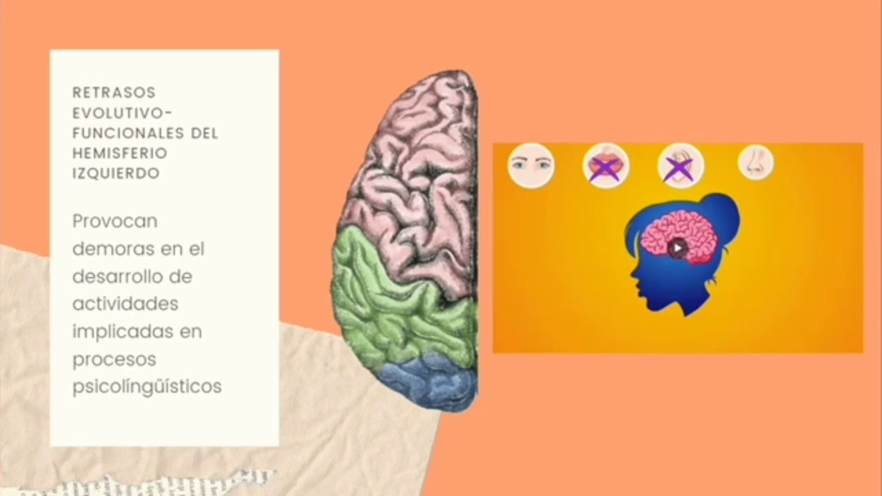 Tema 14 Trastornos y dificultades del aprendizaje abordaje neurofisiologico