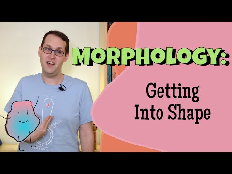 Allomorphy