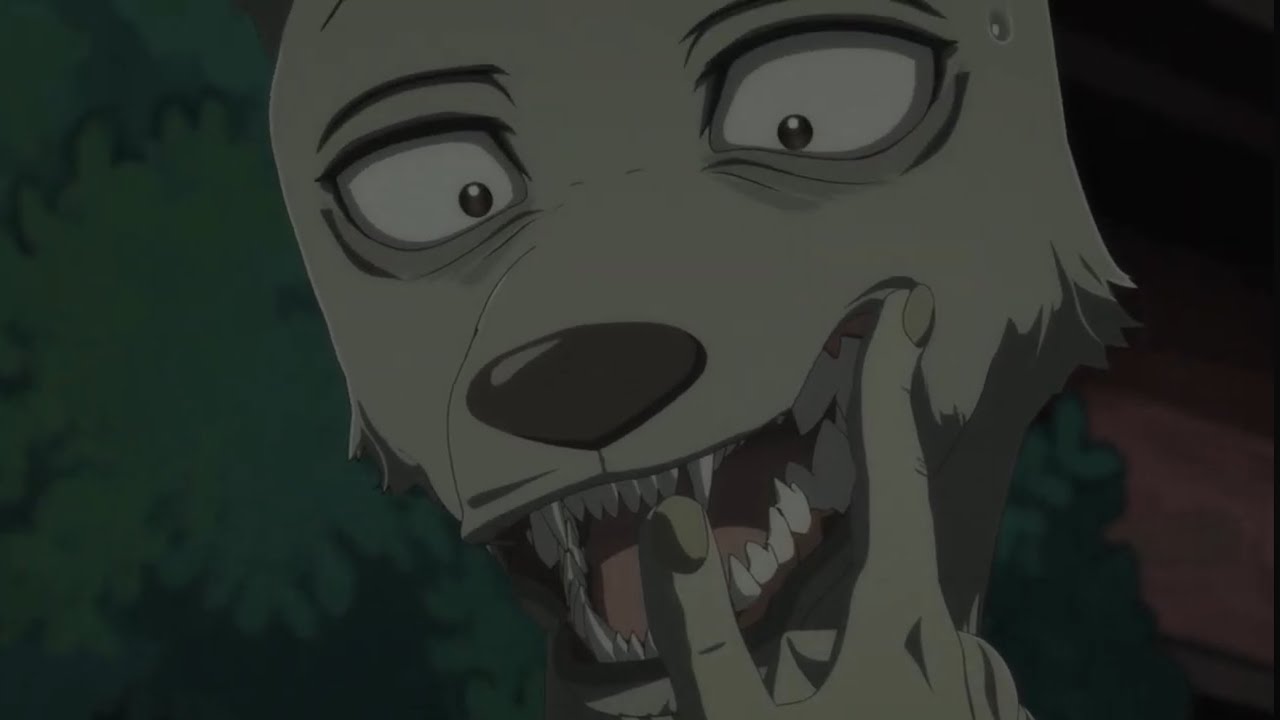 Pina gets a little too touchy. | Beastars Season 2 | English Dub