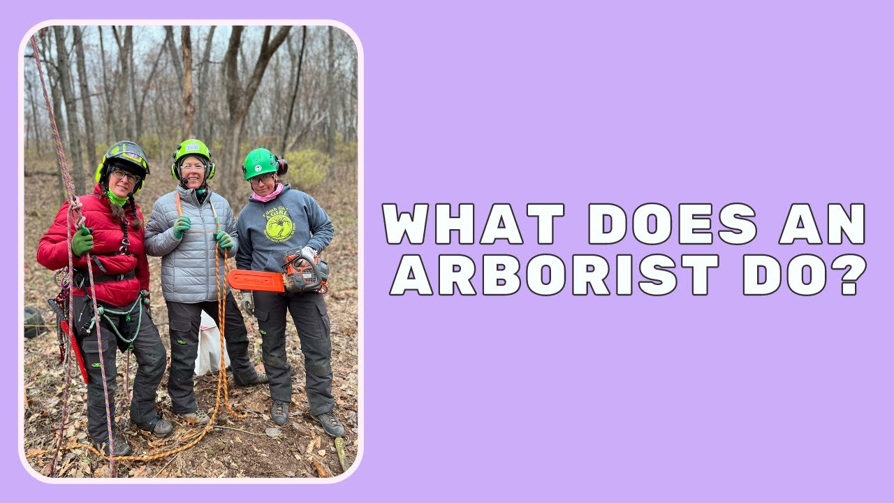 What Do Arborists Do?