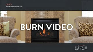 Astria Aries Direct-Vent Traditional Gas Fireplace - Hearth Appliances