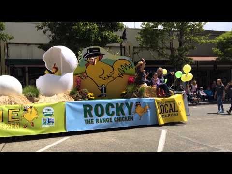 Rosie Chicken & Rocky The Range Chicken in Petaluma's 2014 Butter & Eggs Day Parade