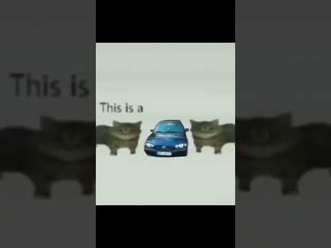 Toyota. Rhymes with Smokey.