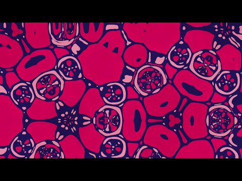 2D Graffiti Wall Motion Background I Free Motion Graphic Videos