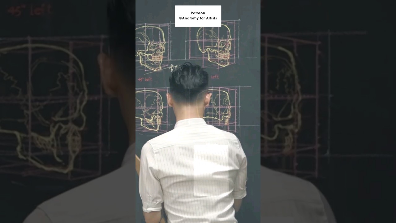 tutorial ▶ patreon.com/user?u=45894047 #anime #anatomy #draw #drawing #shorts #painting #sketch