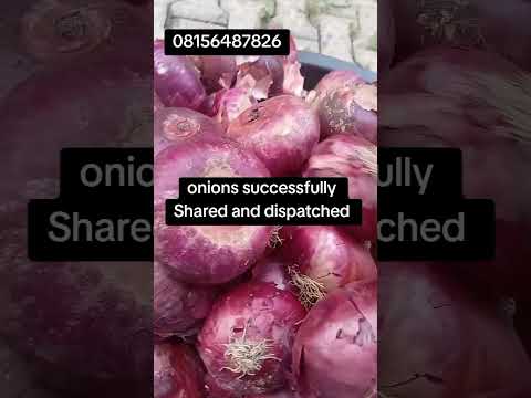 Join our next Onion sharing Full bag; 106,000 half; ,53,000 quarter; 27,000, A slot; 14,000 #onion