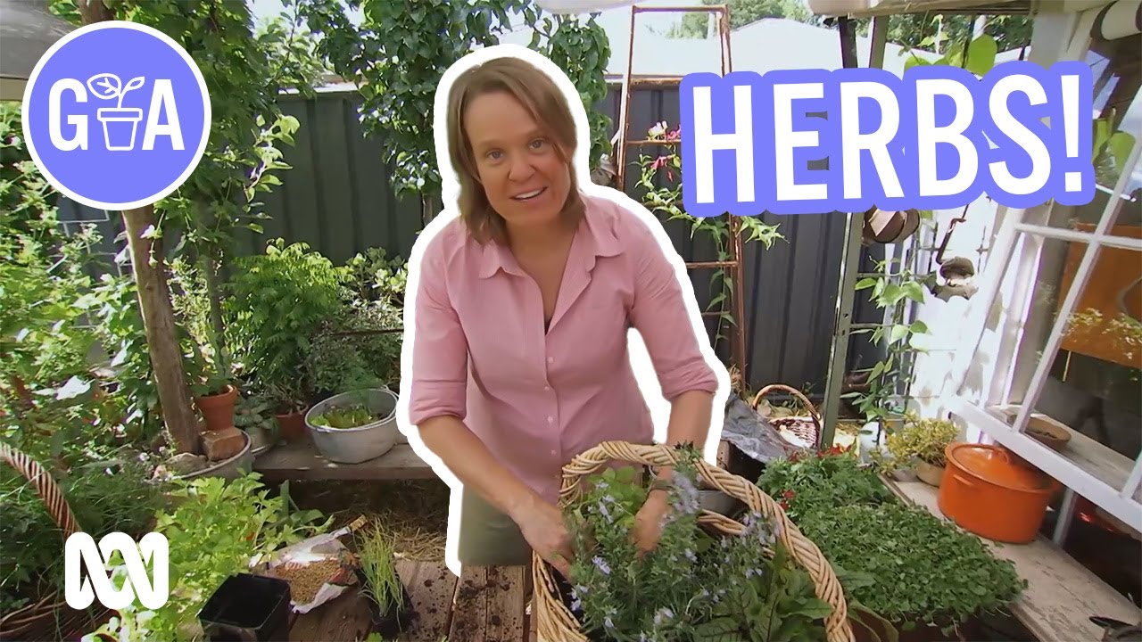 Easy Fresh Herbs! | Growing Fruit and Vegies | Gardening Australia