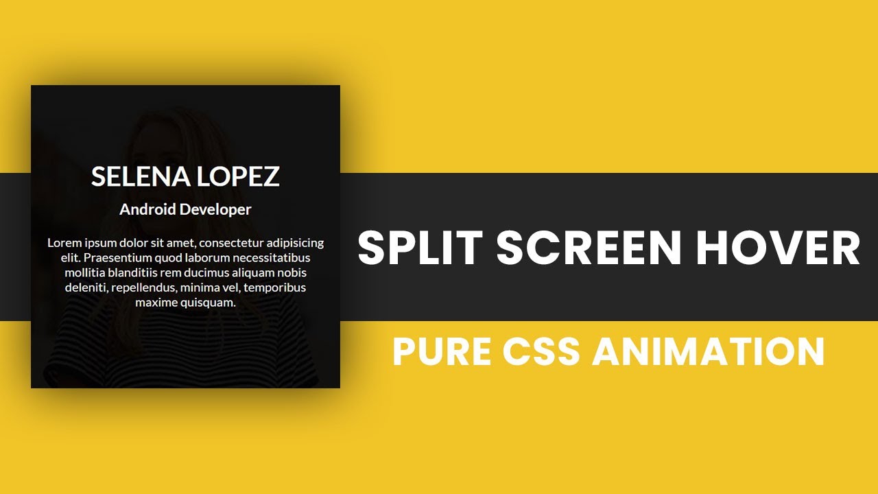 Split Screen Image Hover Effect | CSS Image hover Effect