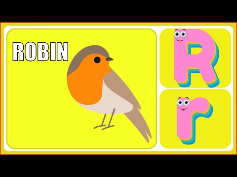 3 Words That Start With R | The Letter R Sound | Toddler Learning Video