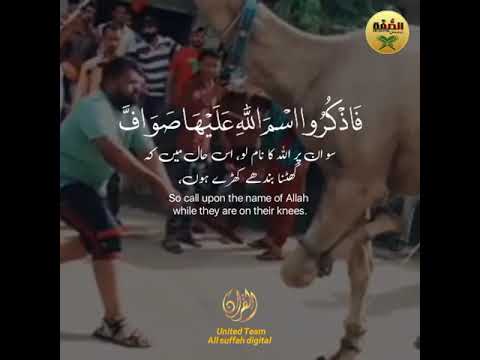 Surah Al Hajj Beautiful Recitation Ayat 36