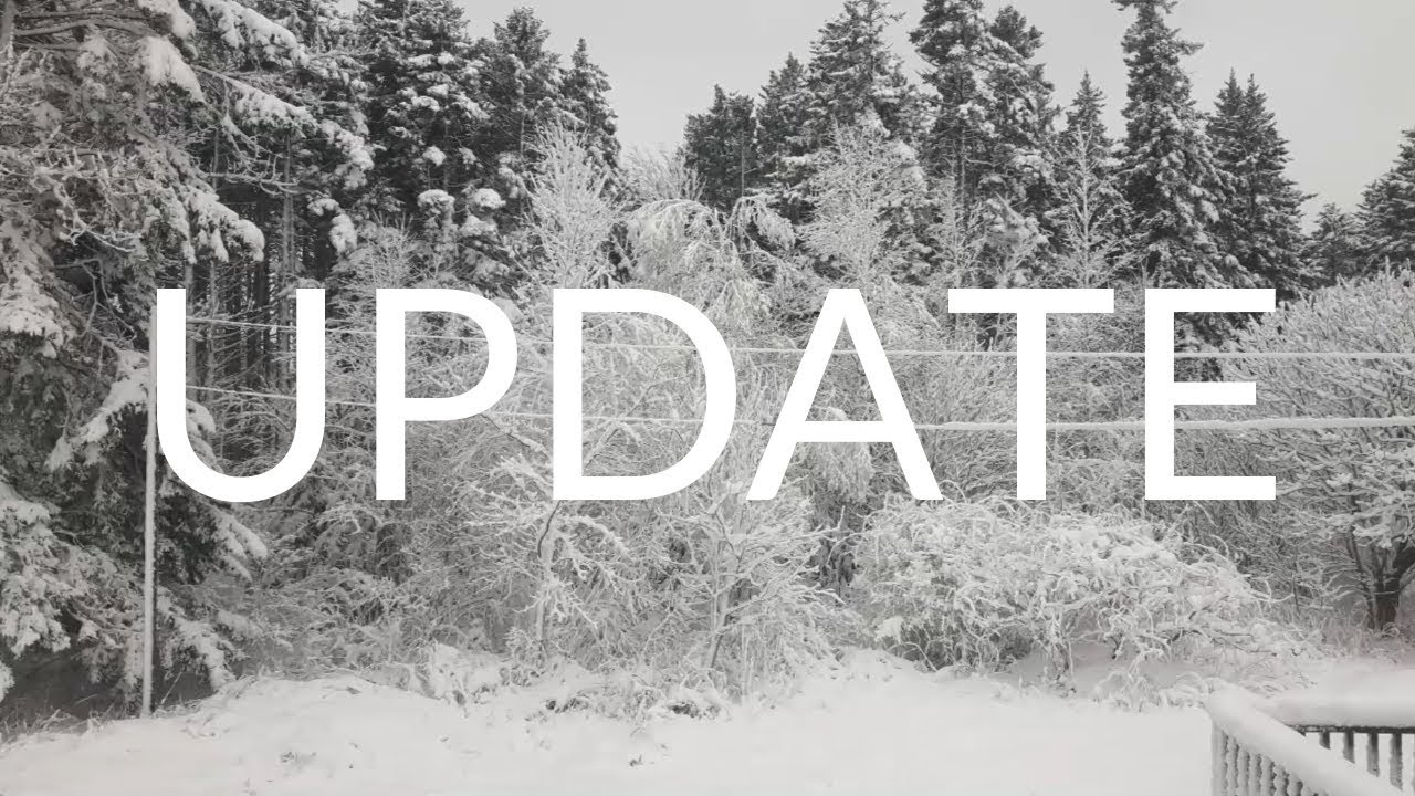 December Update [Devlog 6]