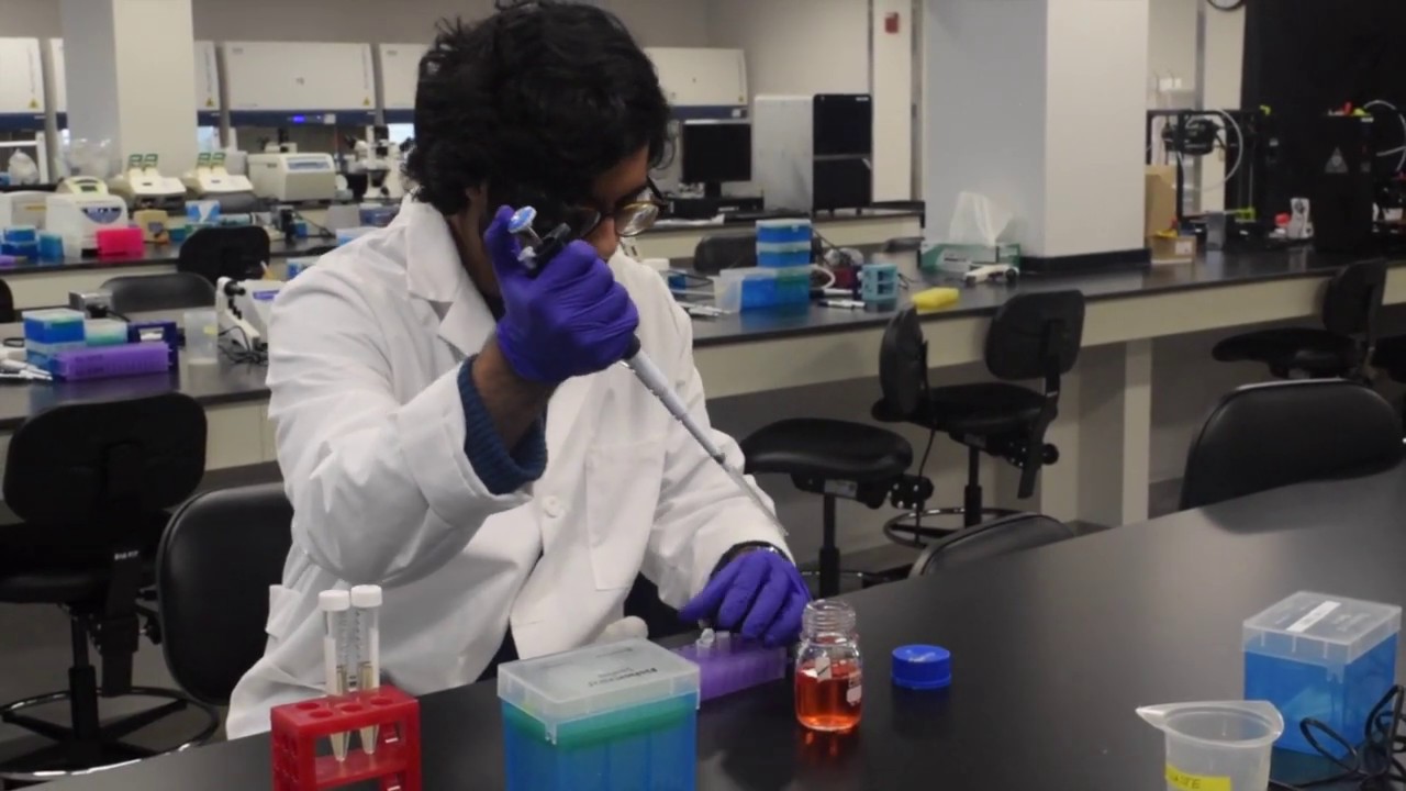 Illinois Bioengineering undergrad lab tour: Cell + Tissue Engineering
