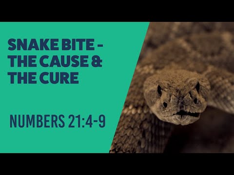 Snake Bite - The Cause and the Cure | Numbers 21:4-9