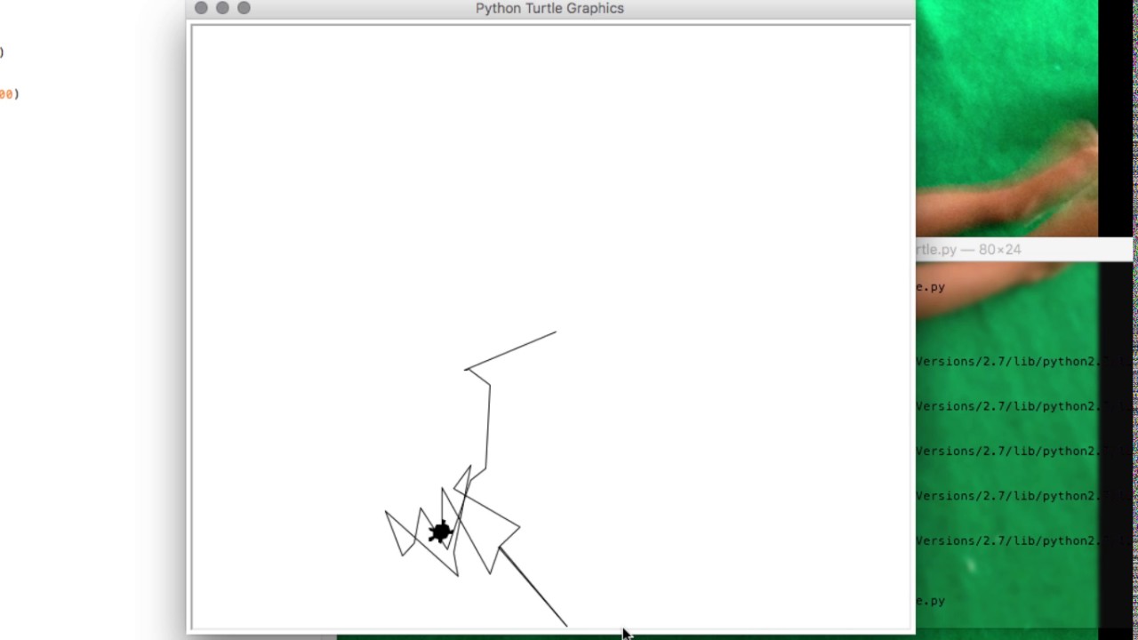 Random Turtle Movement (Python Module)