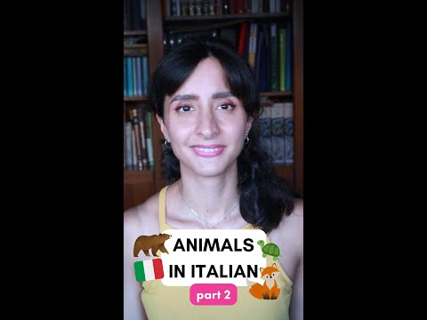 Let's learn together how to name these animals in Italian! (pt. 2) ๐บ #animalsinitalian