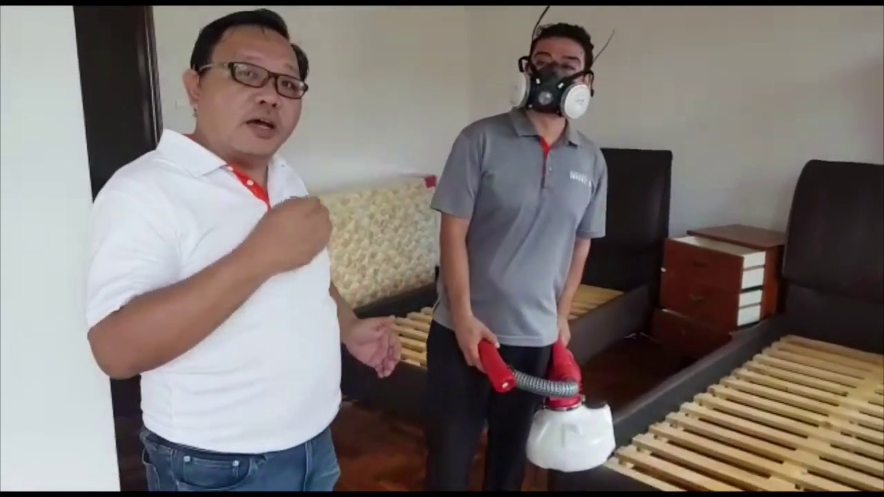 Bed Bug Treatment- Pest Control Singapore