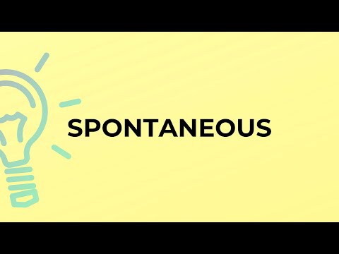 What is the meaning of the word SPONTANEOUS?