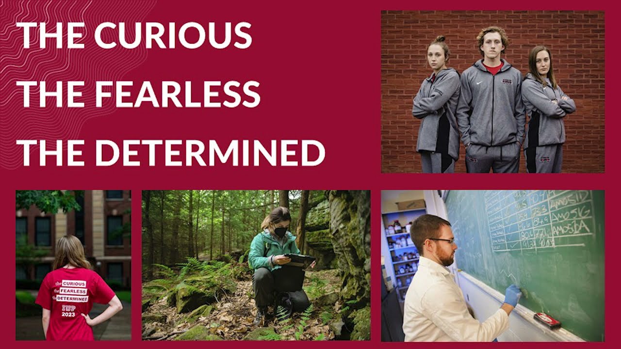 Everything You Need to Know About IUP in 5 Minutes