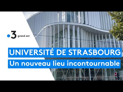 Université de Strasbourg : le "Studium", nouveau lieu incontournable des étudiants