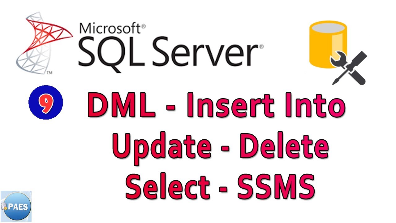 Comandos DML do SQL Server com Management Studio. Insert Into, Update, Delete e Select.