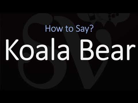 How to Pronounce Koala Bear? (CORRECTLY)