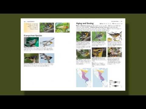 Introduction to The Warbler Guide