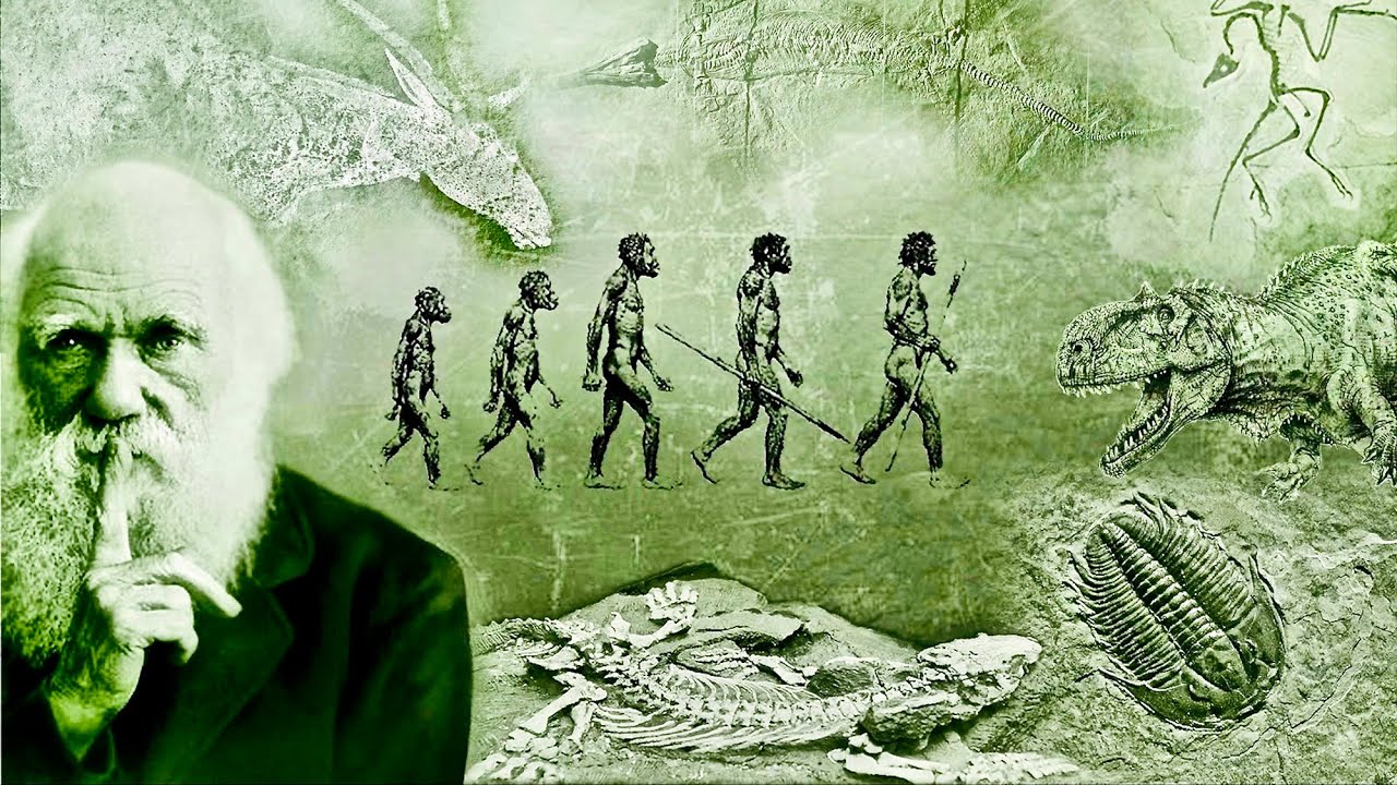 The Best Documentaries About Evolution - Documentarytube.com