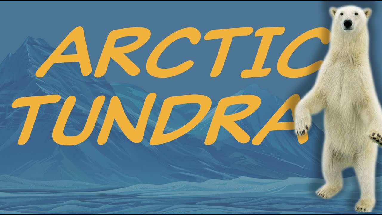 Explore the ARCTIC TUNDRA biome ❄️ Nature Ecology & Environment