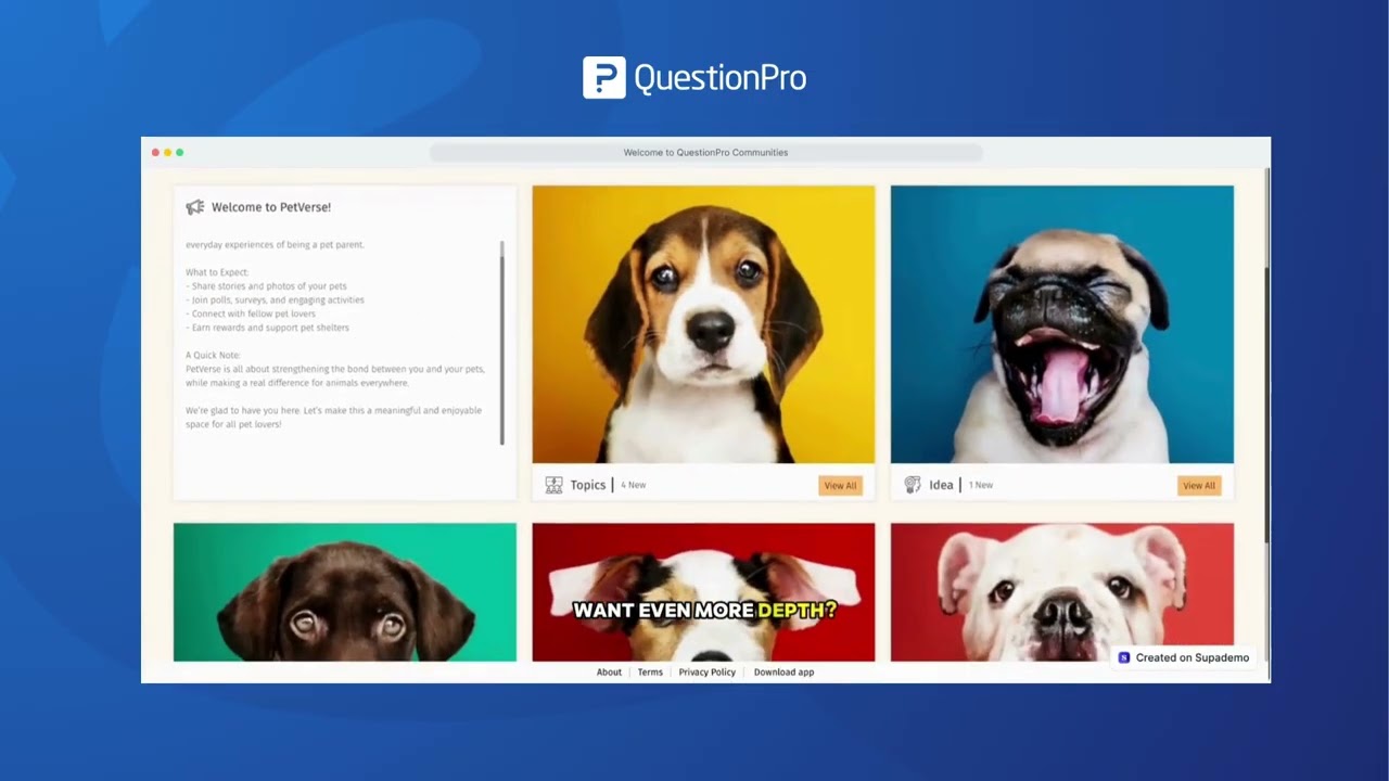 QuestionPro Communities overview | Build a research community for real customer insights