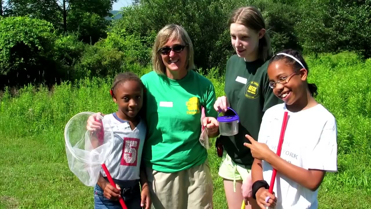 CanopyMeg Lowman   What does a forest canopy scientist do?