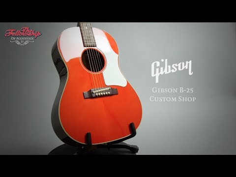 TFOA review - Gibson B-25
