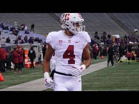 Michael Wilson Highlights