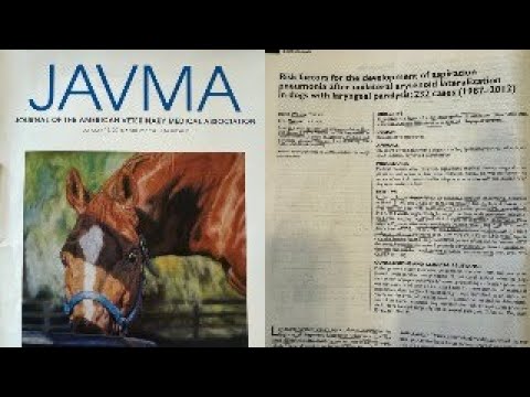 Risk factors for aspiration pneumonia after unilateral arytenoid lateralization in dogs | CSU