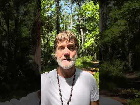 Are You An Old Soul?