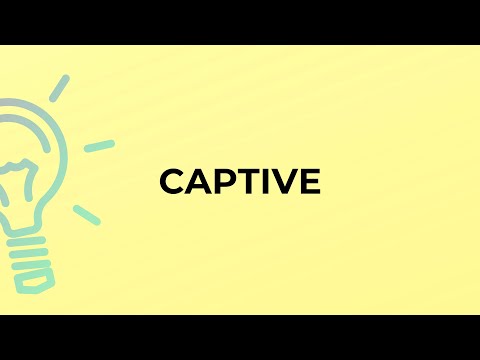 What is the meaning of the word CAPTIVE?