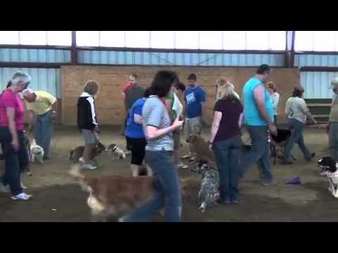 SIT MEANS SIT CLEVELAND-AKRON Canine Good Citizen Testing Preparation #4