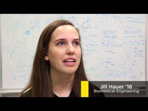 Computer Science Undergraduate Research at the University of Iowa