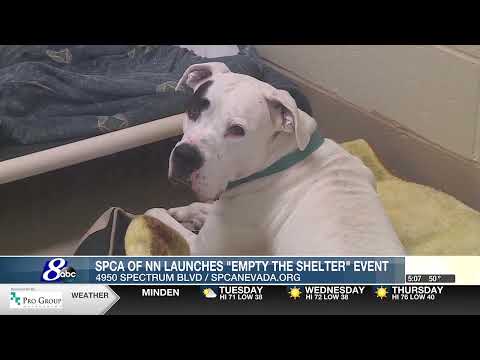 SPCA of Northern Nevada takes part in “Empty the Shelters”