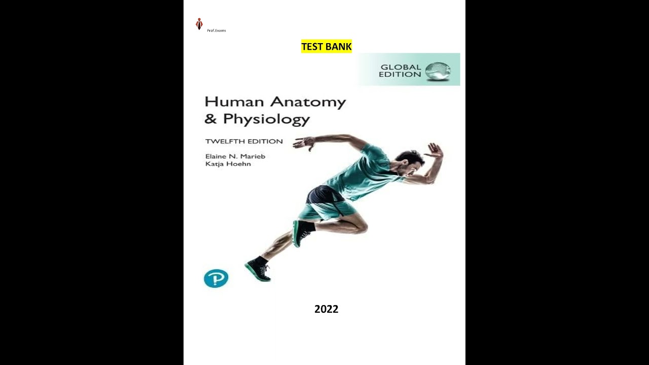 Test bank for Human Anatomy & Physiology 12th Edition by Elaine N. Marieb & Katja Hoehn