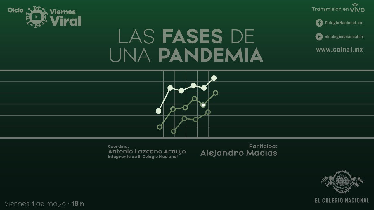 Las fases de una pandemia