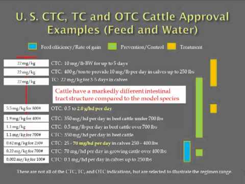 Dr. Mike Apley - A Clinical Pharmacologist's View of the Interaction of Antimicrobials and Bacteria