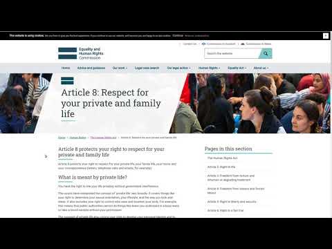 Can I get my kids back from social services in UK? -  Human Rights Article 8