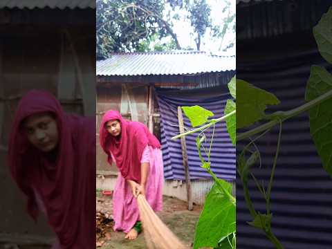 এতো বড় উঠান একাই ঝাড়ুদিলাম। #shortsfeed #minivlog #lifestyle #video #vlog #village