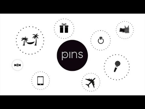 What is PINS?