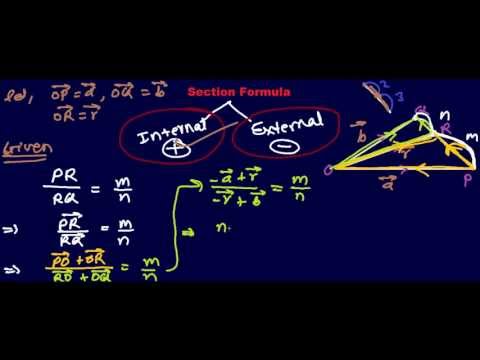 Section Formula Derivation ( Internally) - Vector Tutorials