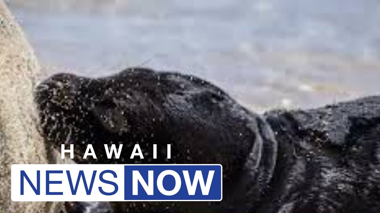 State: Don't disturb the seals, violators could be cited or arrested